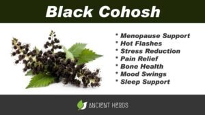 Black Cohosh Benefits, Uses, Dosage & Side Effects