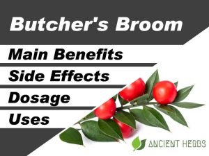 Butcher's Broom Benefits, Uses, Dosage & Side Effects