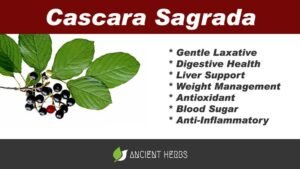 Cascara Sagrada Benefits, Uses, Dosage & Side Effects
