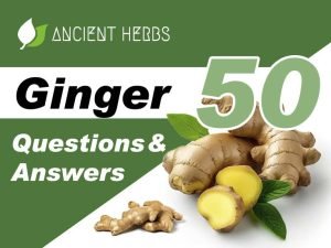 Comprehensive Ginger Guide: 50 Questions and Answers