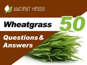 Wheatgrass Wonders: 50 Frequently Asked Questions