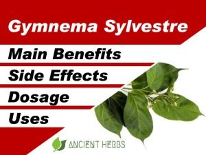 Gymnema Sylvestre Benefits, Uses, Dosage & Side Effects