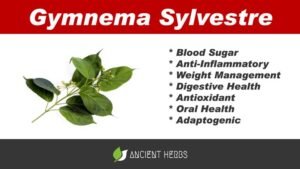 Gymnema Sylvestre Benefits, Uses, Dosage & Side Effects