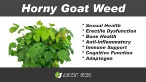 Horny Goat Weed Benefits, Uses, Dosage & Side Effects