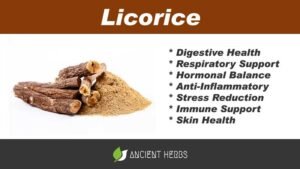 Licorice Root Benefits, Uses, Dosage & Side Effects