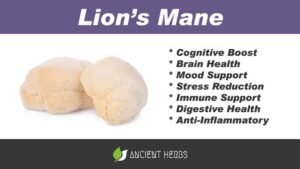 Lion’s Mane Benefits, Uses, Dosage & Side Effects