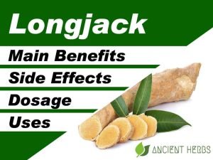 Longjack (Tongkat Ali) Benefits, Uses, Dosage & Side Effects