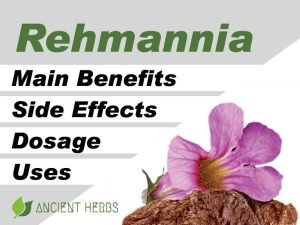 Rehmannia Benefits, Uses, Dosage & Side Effects