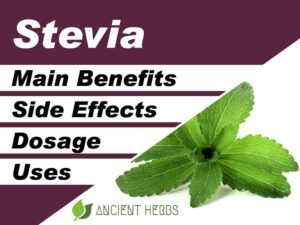 Stevia Benefits, Uses, Dosage & Side Effects