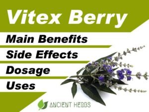 Vitex Berry Benefits, Uses, Dosage & Side Effects