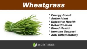 Wheatgrass Benefits, Uses, Dosage & Side Effects