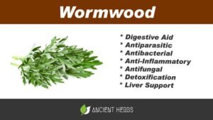Wormwood Benefits, Uses, Dosage & Side Effects