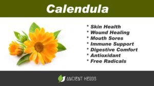 Calendula Benefits, Uses, Dosage & Side Effects