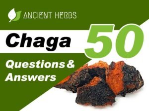 The Power of Chaga Mushroom: A Guide to 50 Key Questions