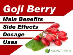 Goji Berry Benefits, Uses, Dosage & Side Effects
