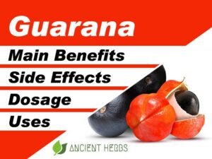 Guarana Benefits, Uses, Dosage & Side Effects