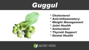 Guggul Benefits, Uses, Dosage & Side Effects