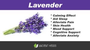 Lavender Benefits, Uses, Dosage & Side Effects