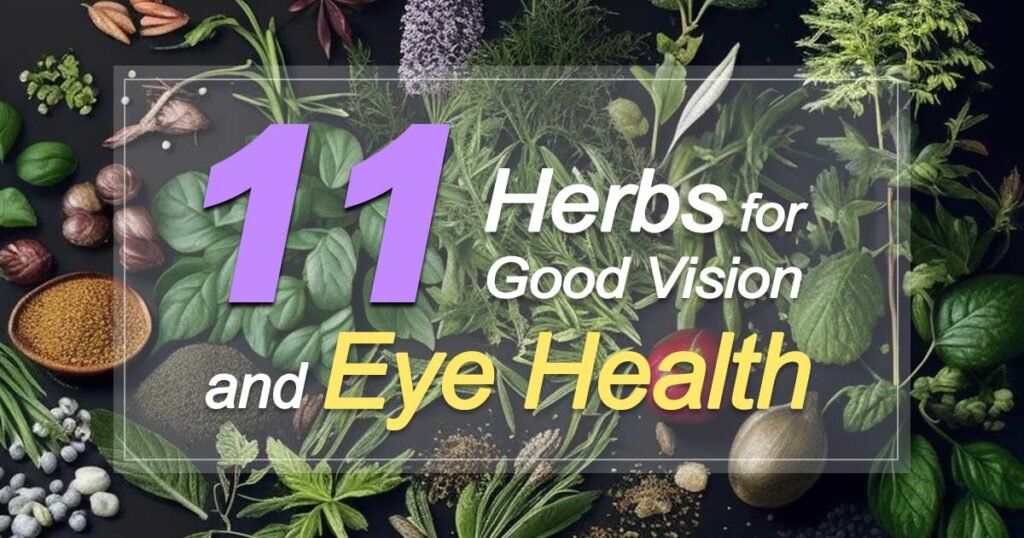 Medicinal Herbs for Vision and Optimal Eye Health