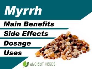 Myrrh Benefits, Uses, Dosage & Side Effects
