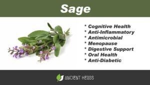 Sage Benefits, Uses, Dosage & Side Effects