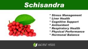 Schisandra Benefits, Uses, Dosage & Side Effects