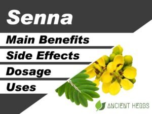 Senna Benefits, Uses, Dosage & Side Effects