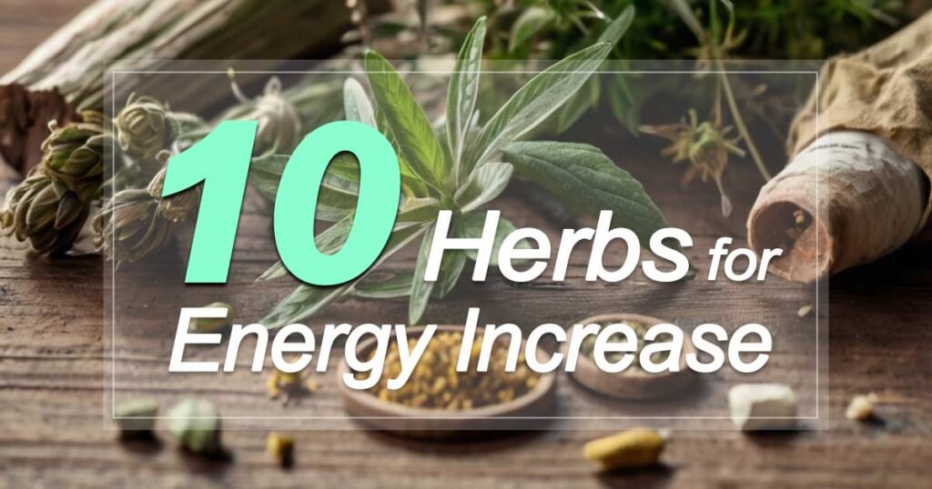Combat Fatigue: 10 Best Herbs for Energy, Focus & Stamina
