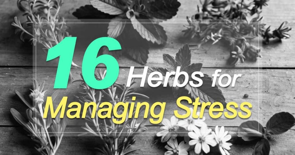16 Powerful Herbs for Managing Stress and Balancing Cortisol