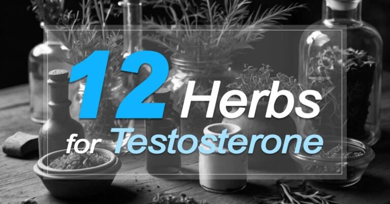 12 Herbs to Support Healthy Testosterone Levels in Men