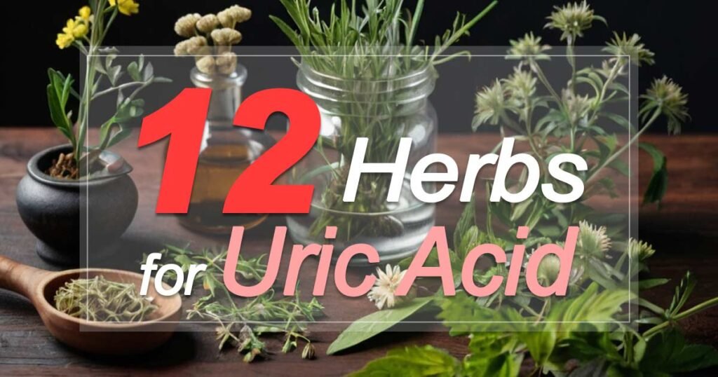12 Potent Herbs to Reduce Uric Acid and Prevent Gout