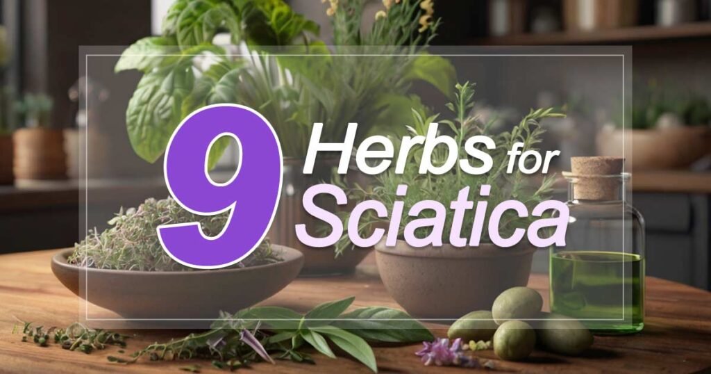 9 Effective Herbs for Sciatica Relief